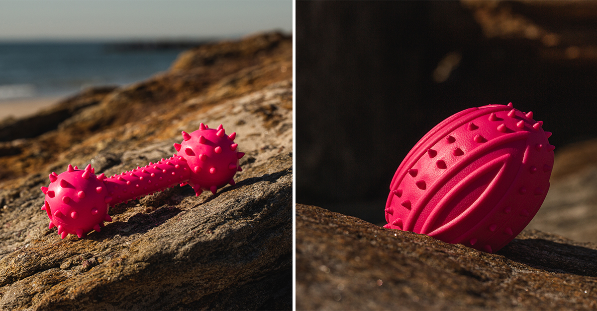 Ball and Dumbbell Toy for Dogs - 10 Options