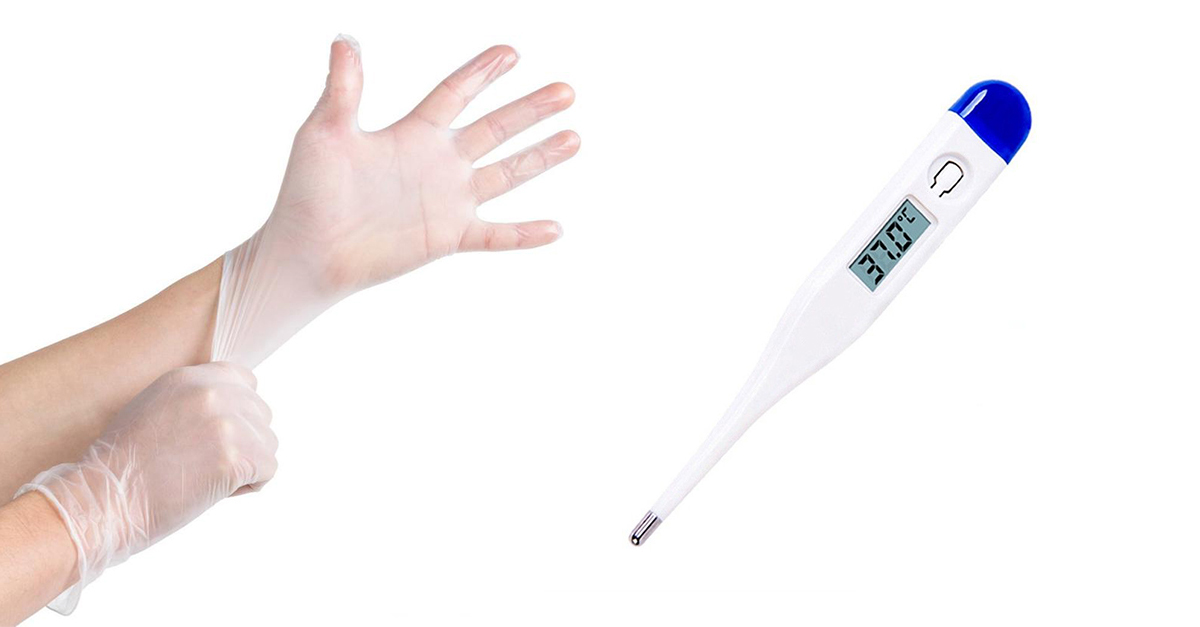 Digital Thermometer with Box of 100 Vinyl Gloves
