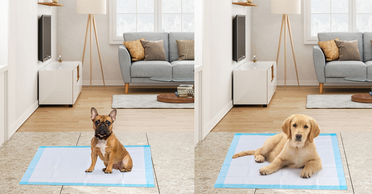 150 Pieces: Pet Wee Pee Piddle Pad