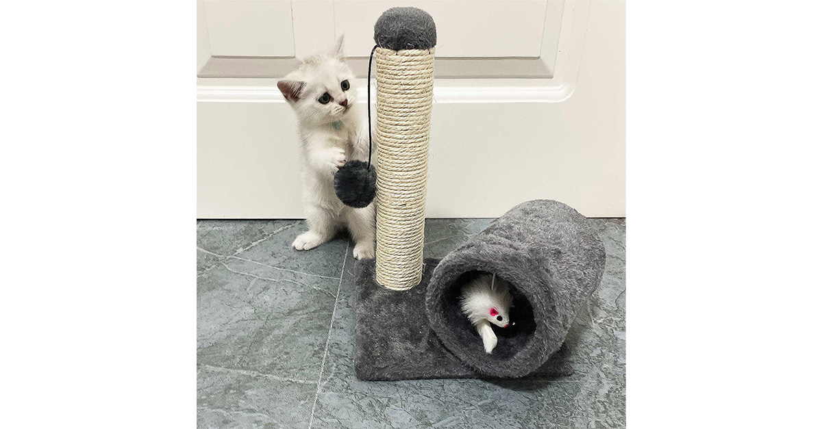 Cat Scratching Post & Lifelike Mouse Toy