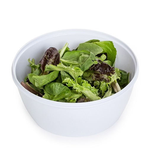 Healthy Choice! Salad To Go Container