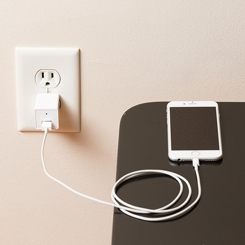 LizaCam USB Wall Plug with Hidden IP Camera